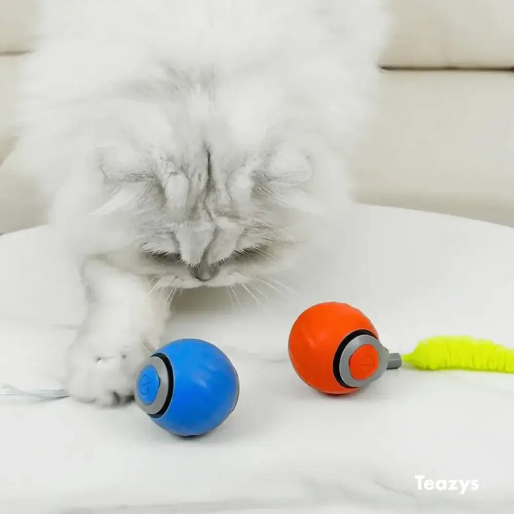 Cat Toys – Teazys